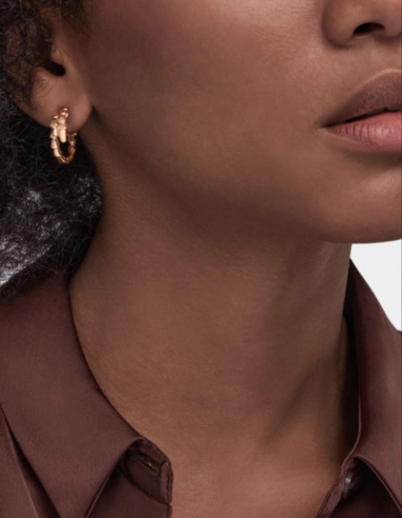 Factory-made Boucheron Earrings
