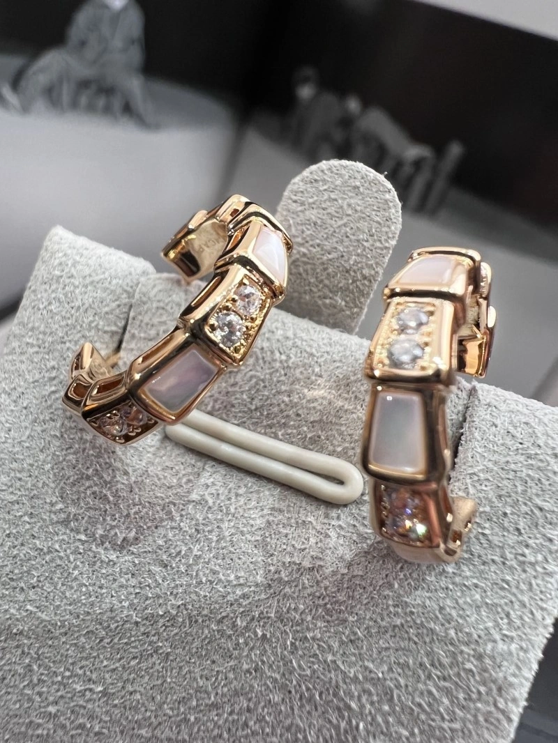 Boucheron Earrings