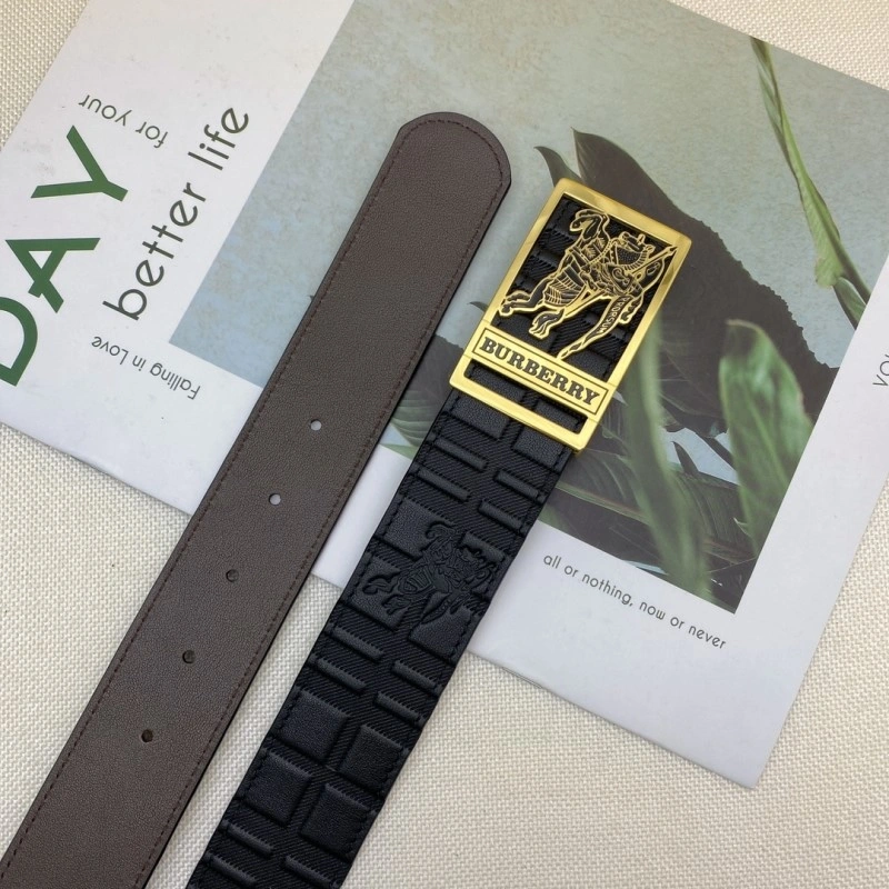 Top mirror Burberry Belts