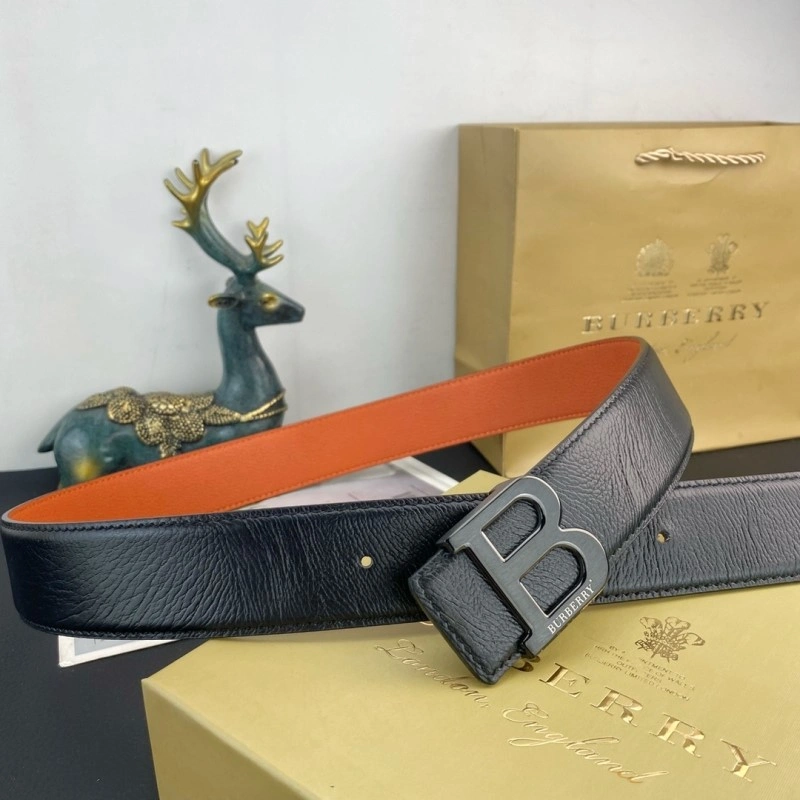 Reasonably priced Burberry Belts