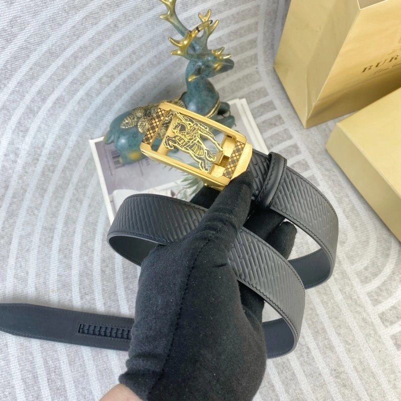 Reasonably priced Burberry Belts