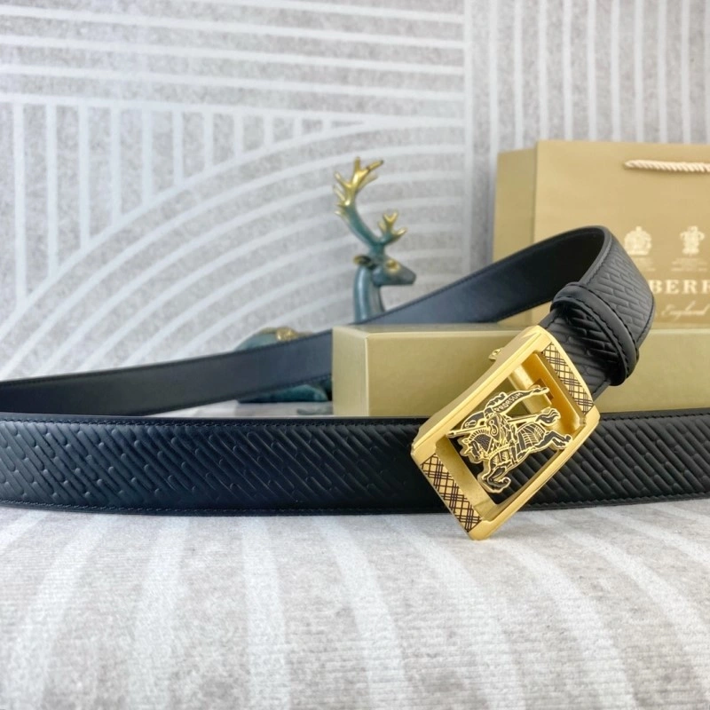 Reasonably priced Burberry Belts
