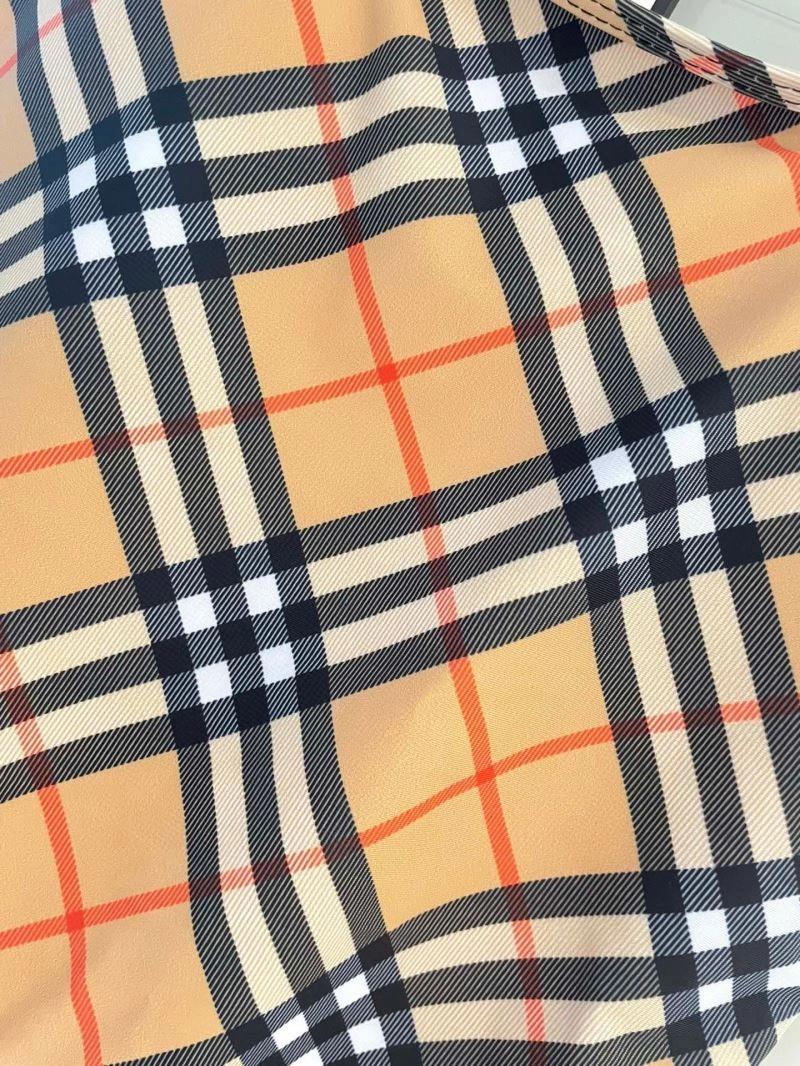 Mirror quality Burberry Bikins