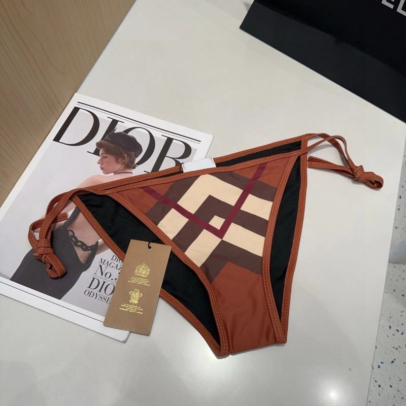 High fidelity Burberry Bikins
