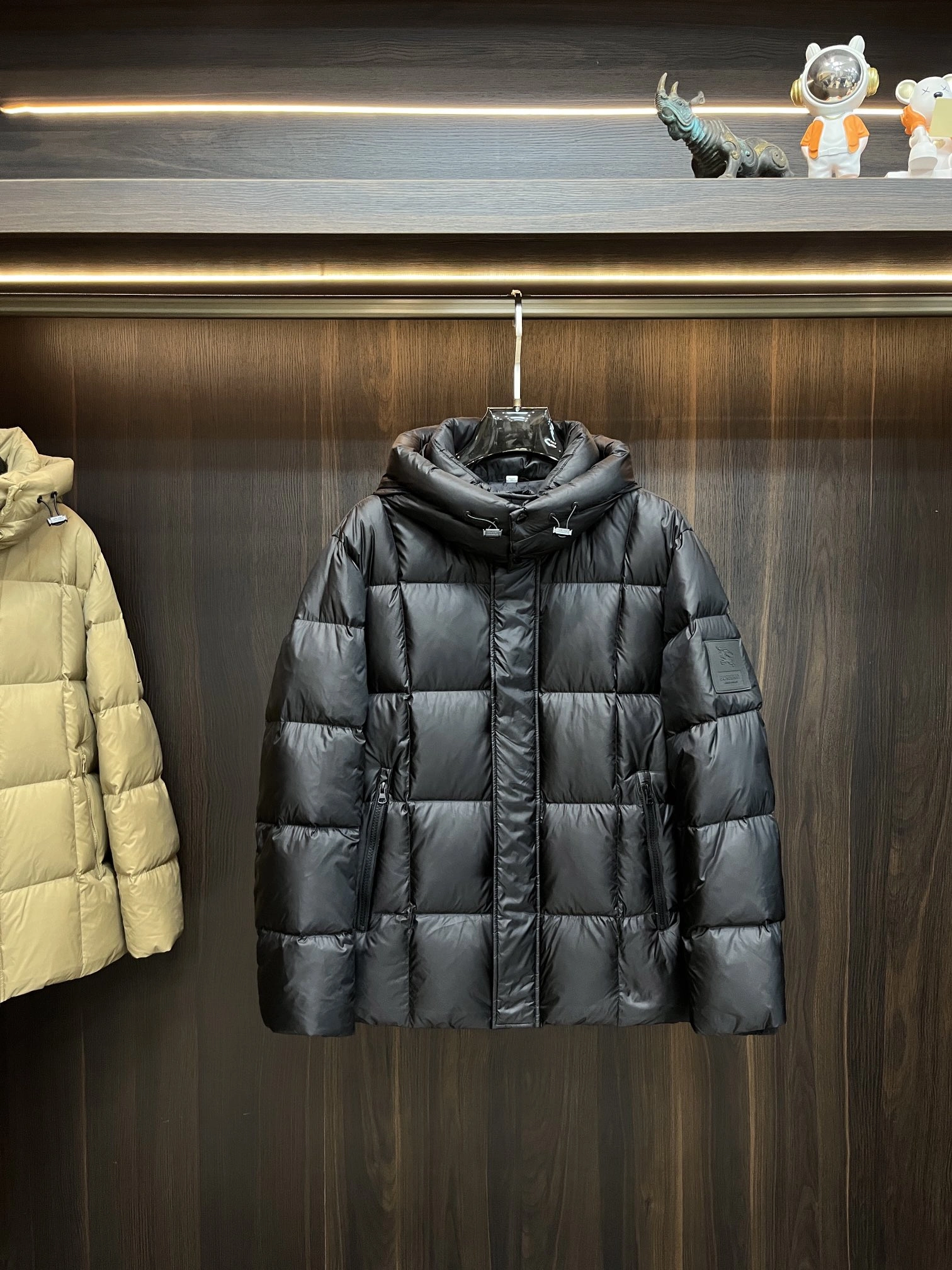 Burberry Down Jackets