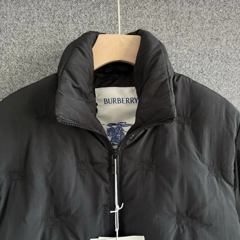 Exact replica Burberry Down Jackets