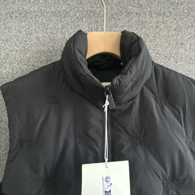 Mirror quality Burberry Down Jackets