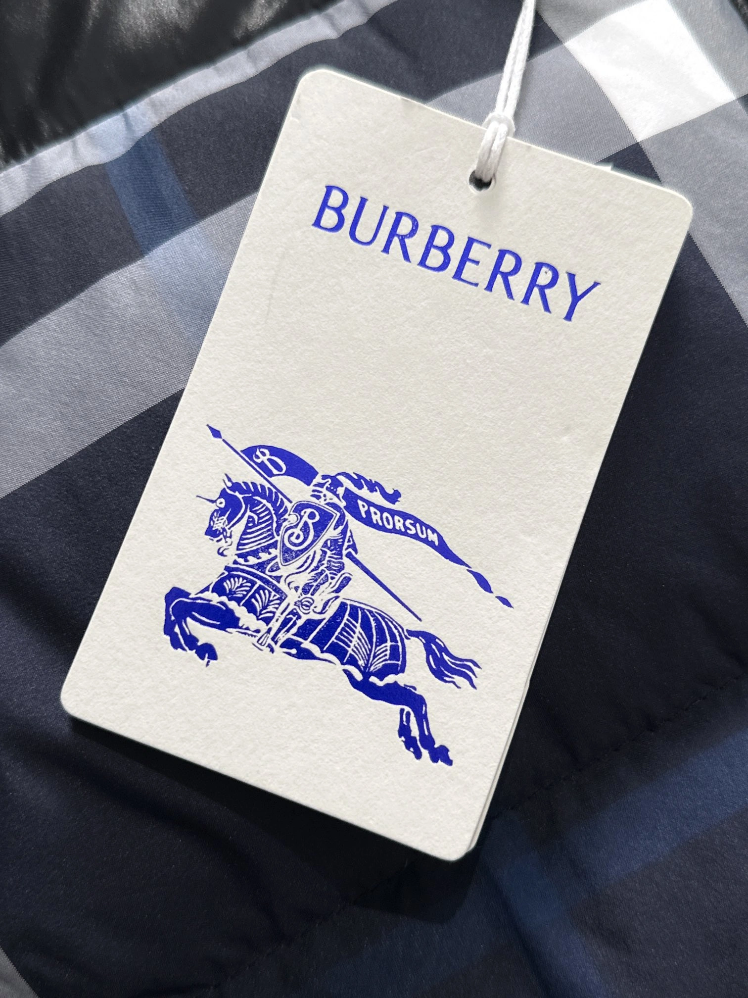 Genuine Burberry Down Jackets