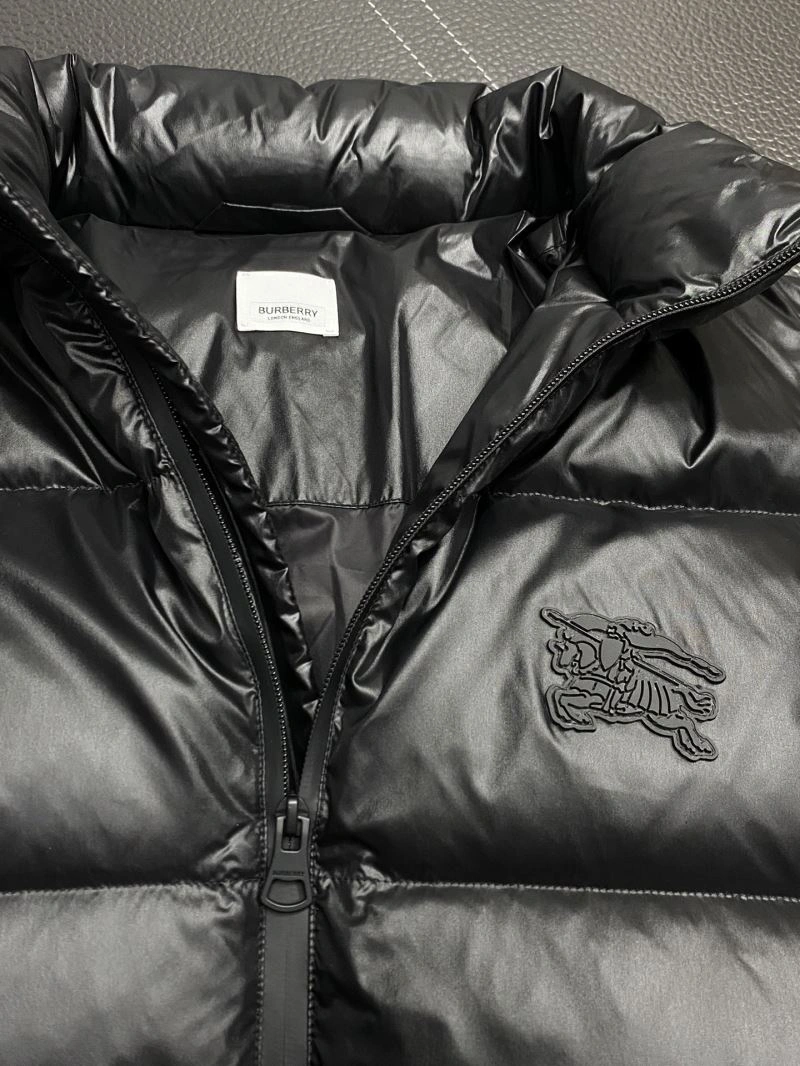 Precise copy Burberry Down Jackets