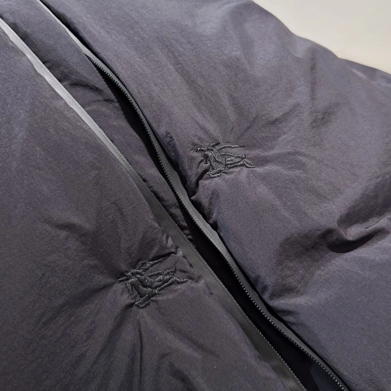 Mirror quality Burberry Down Jackets