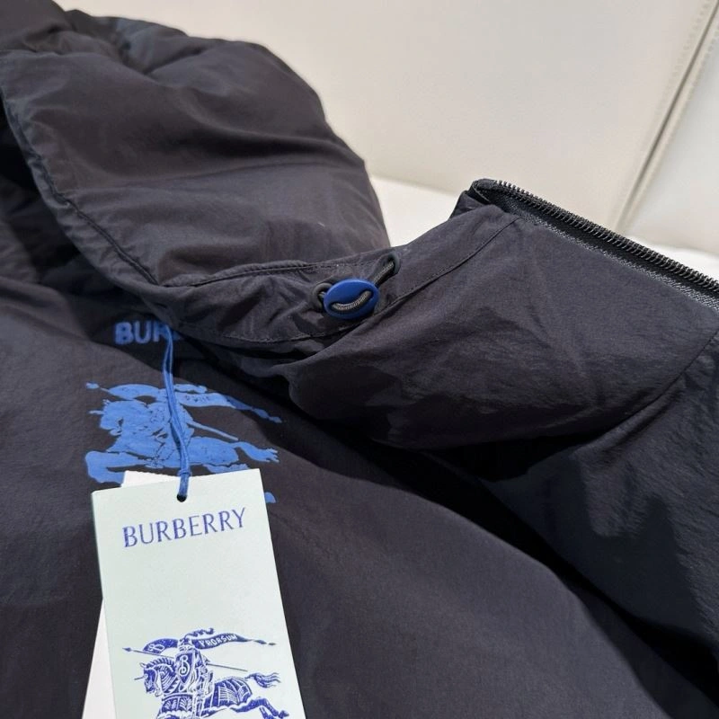 Mirror quality Burberry Down Jackets