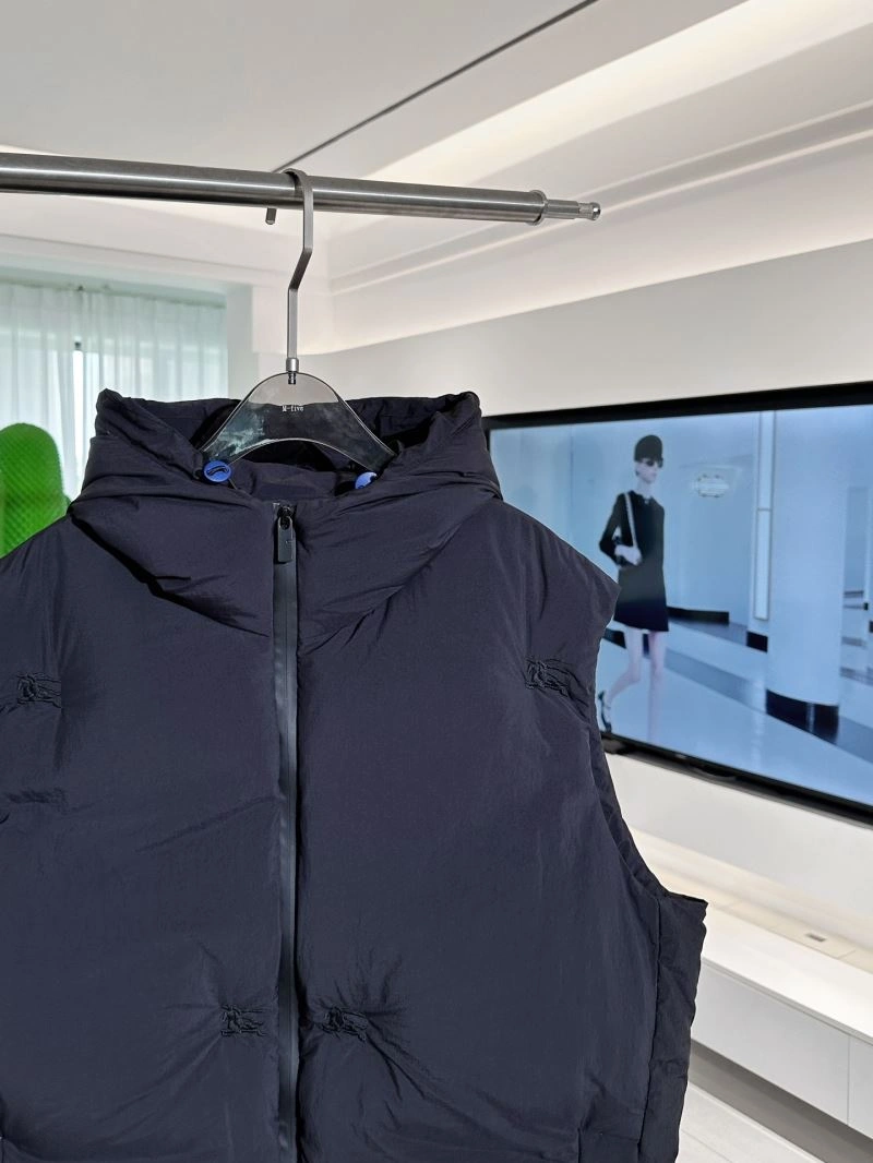 Mirror quality Burberry Down Jackets