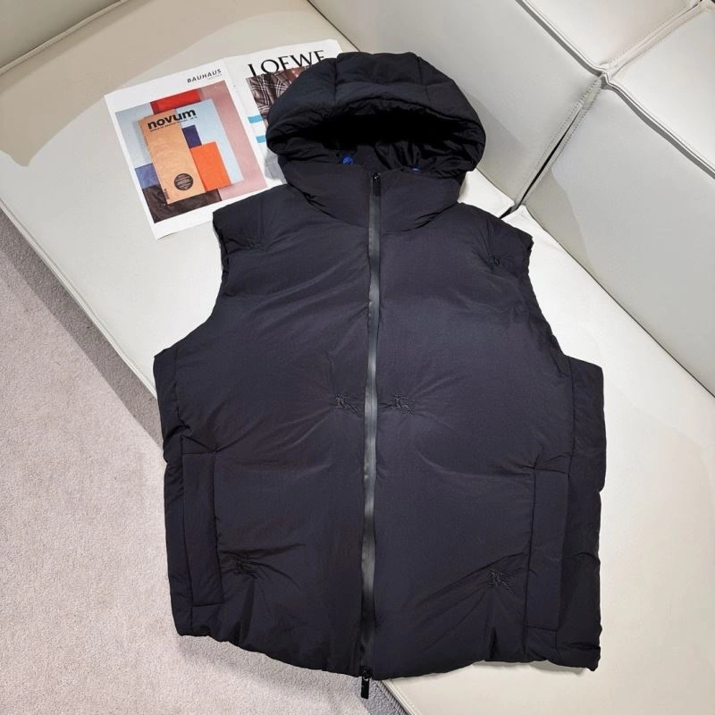 Mirror quality Burberry Down Jackets
