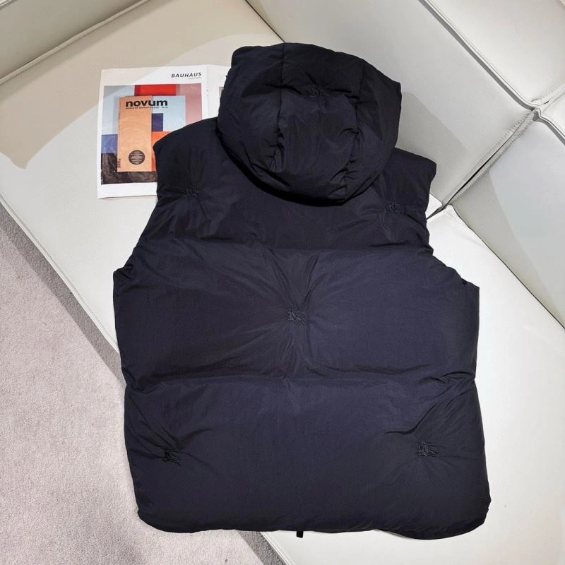 Mirror quality Burberry Down Jackets