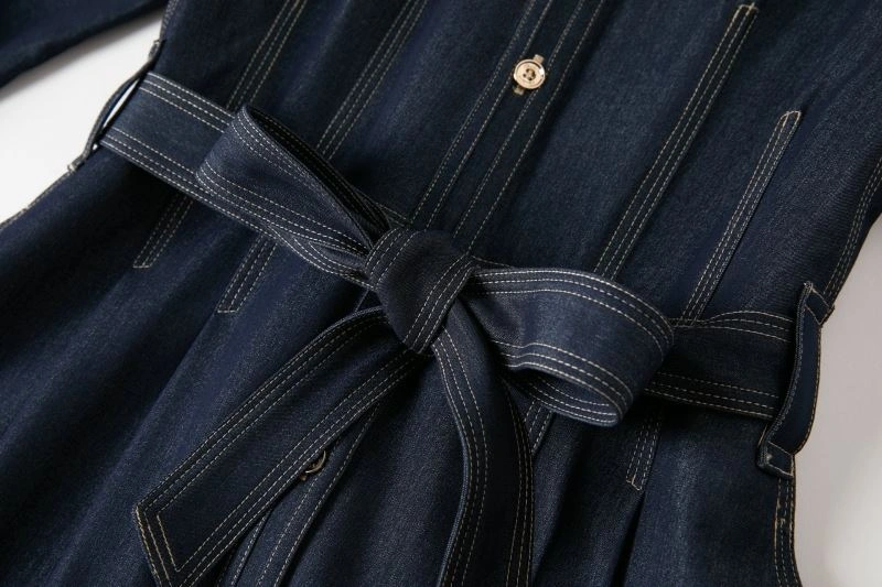Indistinguishable Burberry Dress