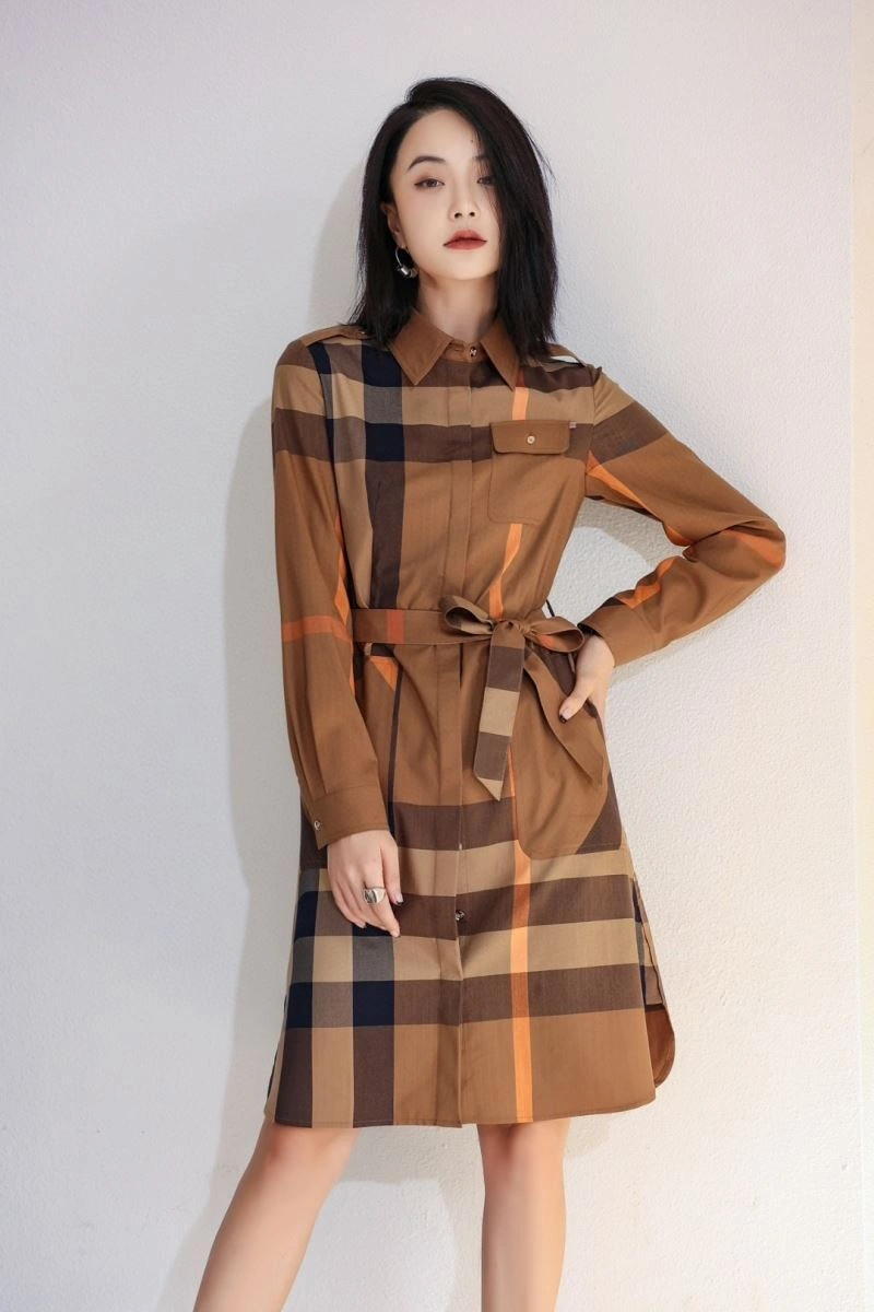 Indistinguishable Burberry Dress