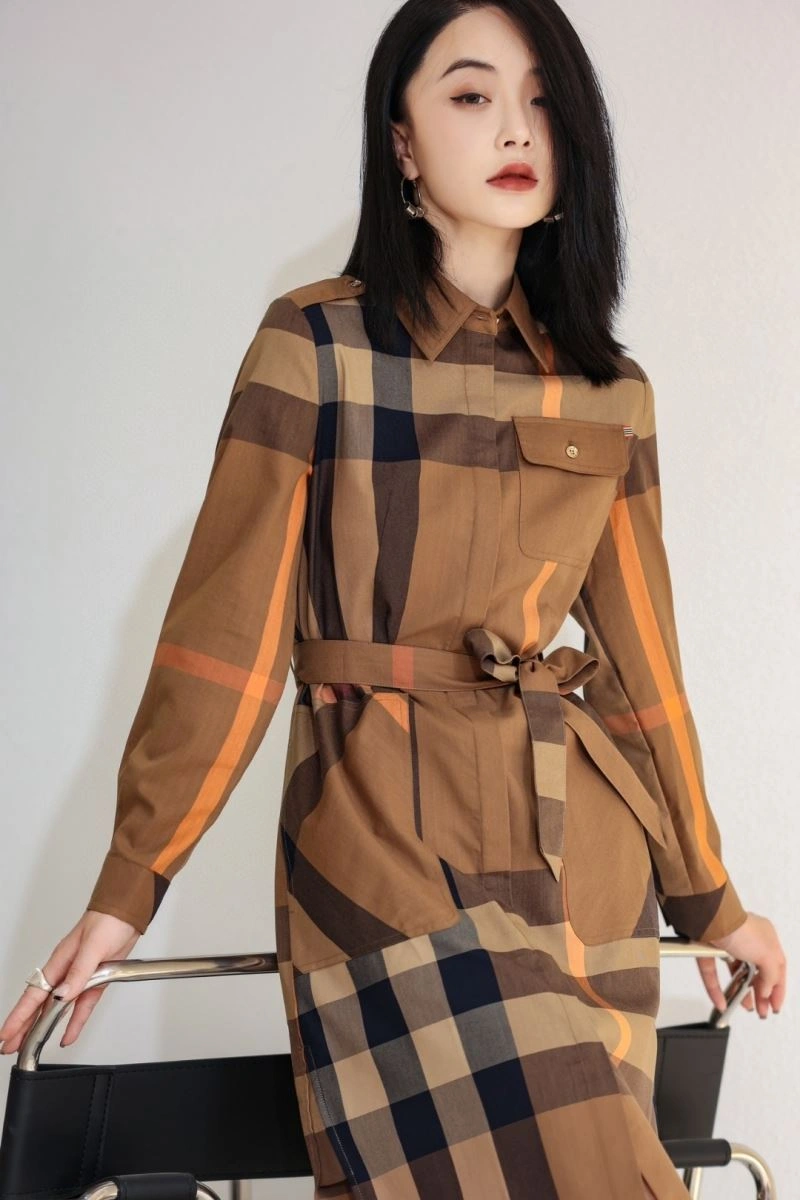 Indistinguishable Burberry Dress