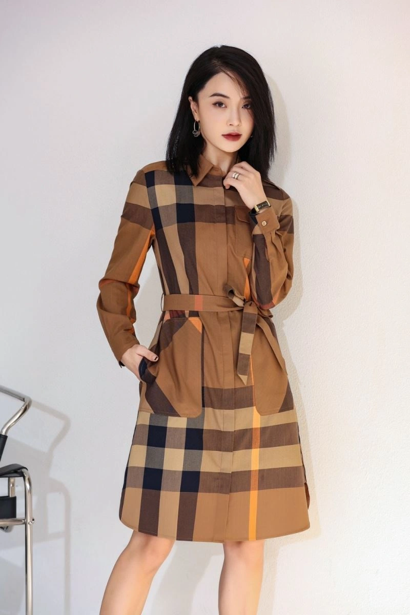 Indistinguishable Burberry Dress