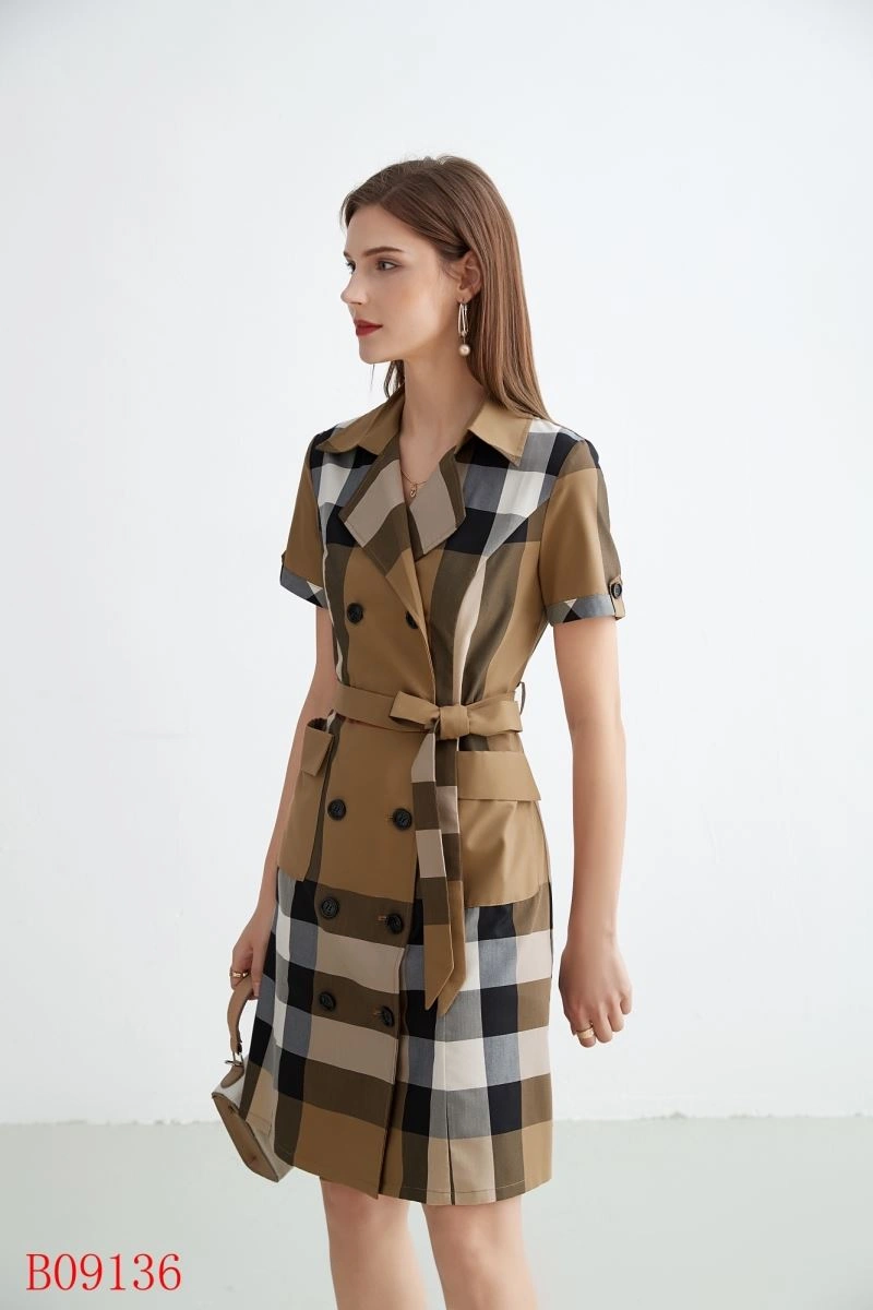 Accurate model Burberry Dress