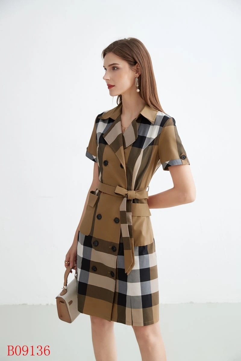Accurate model Burberry Dress