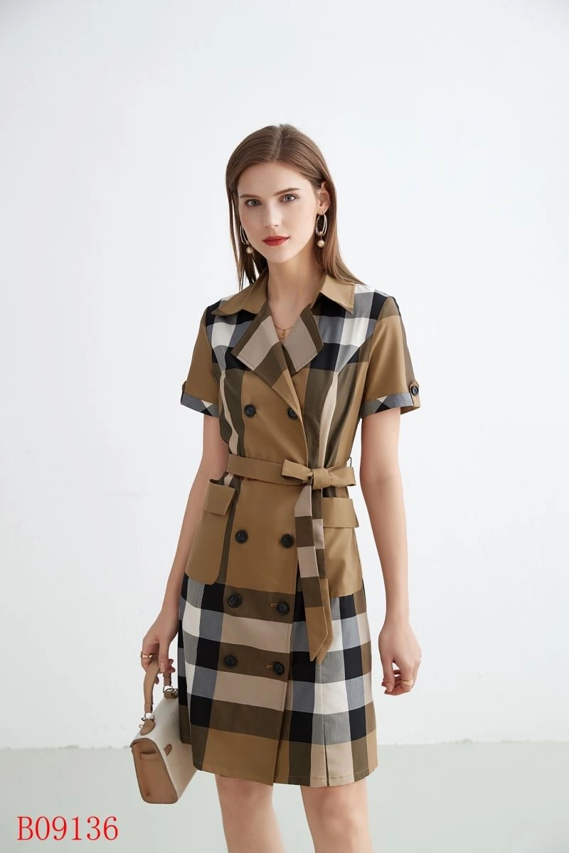 Accurate model Burberry Dress