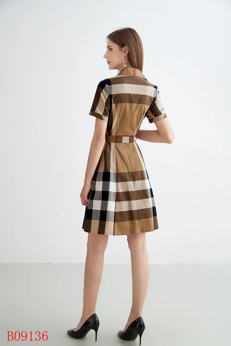 Accurate model Burberry Dress