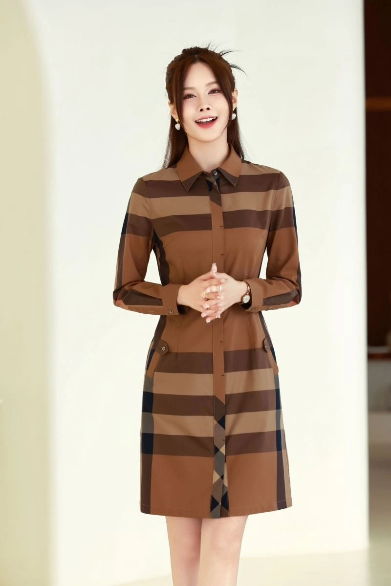High fidelity Burberry Dress