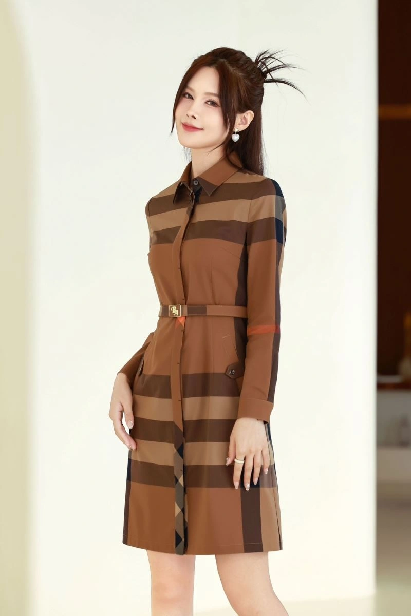High fidelity Burberry Dress