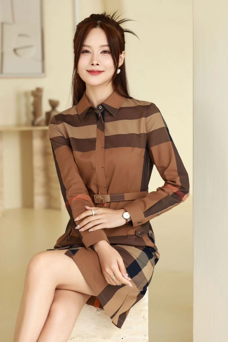 High fidelity Burberry Dress