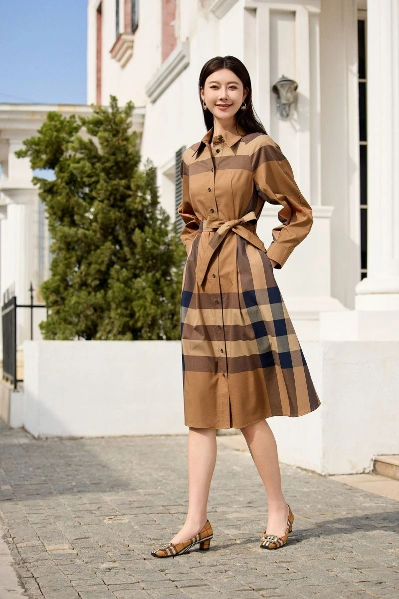 Economical Burberry Dress