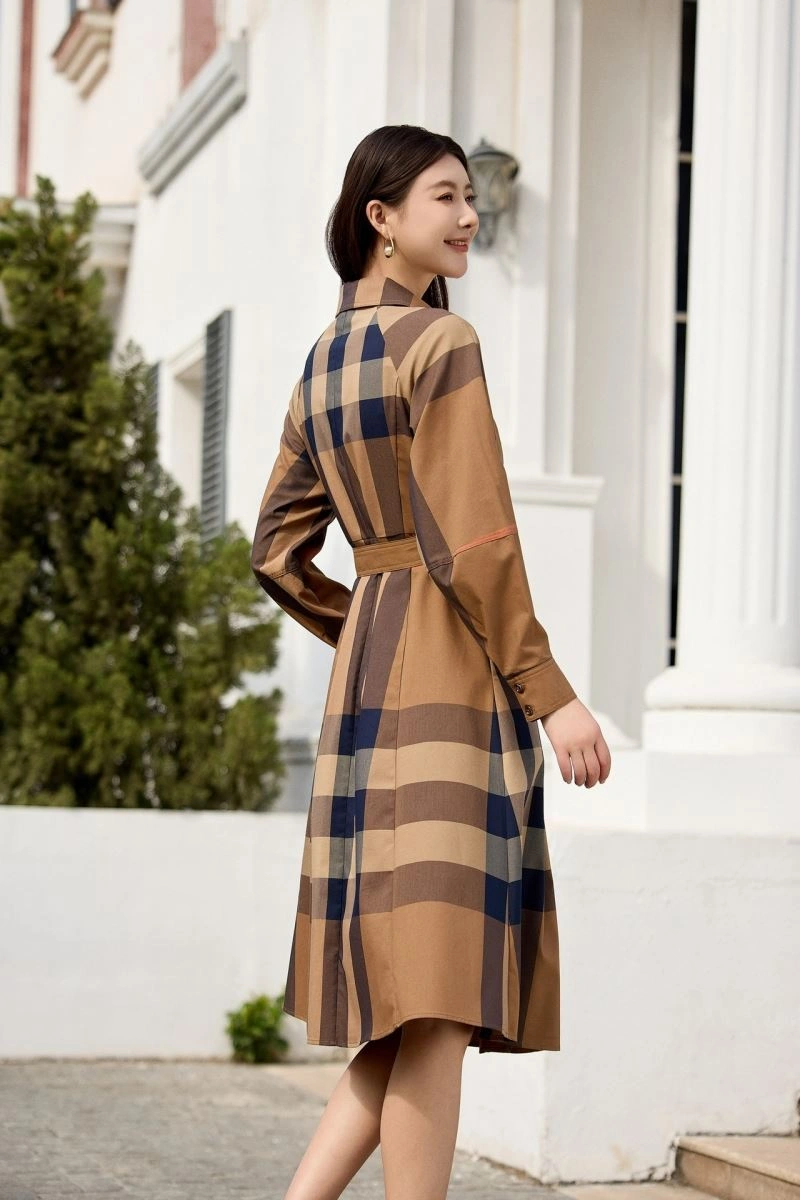 Economical Burberry Dress