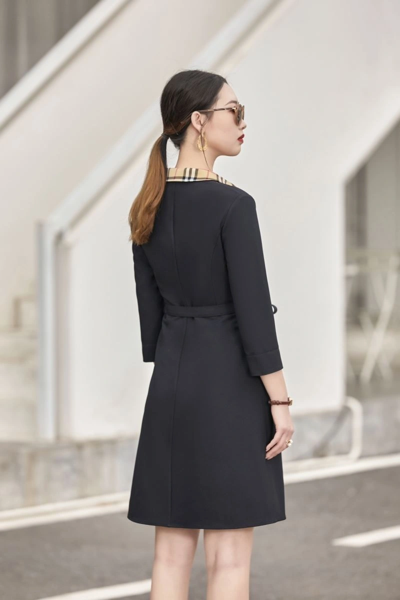 Indistinguishable Burberry Dress