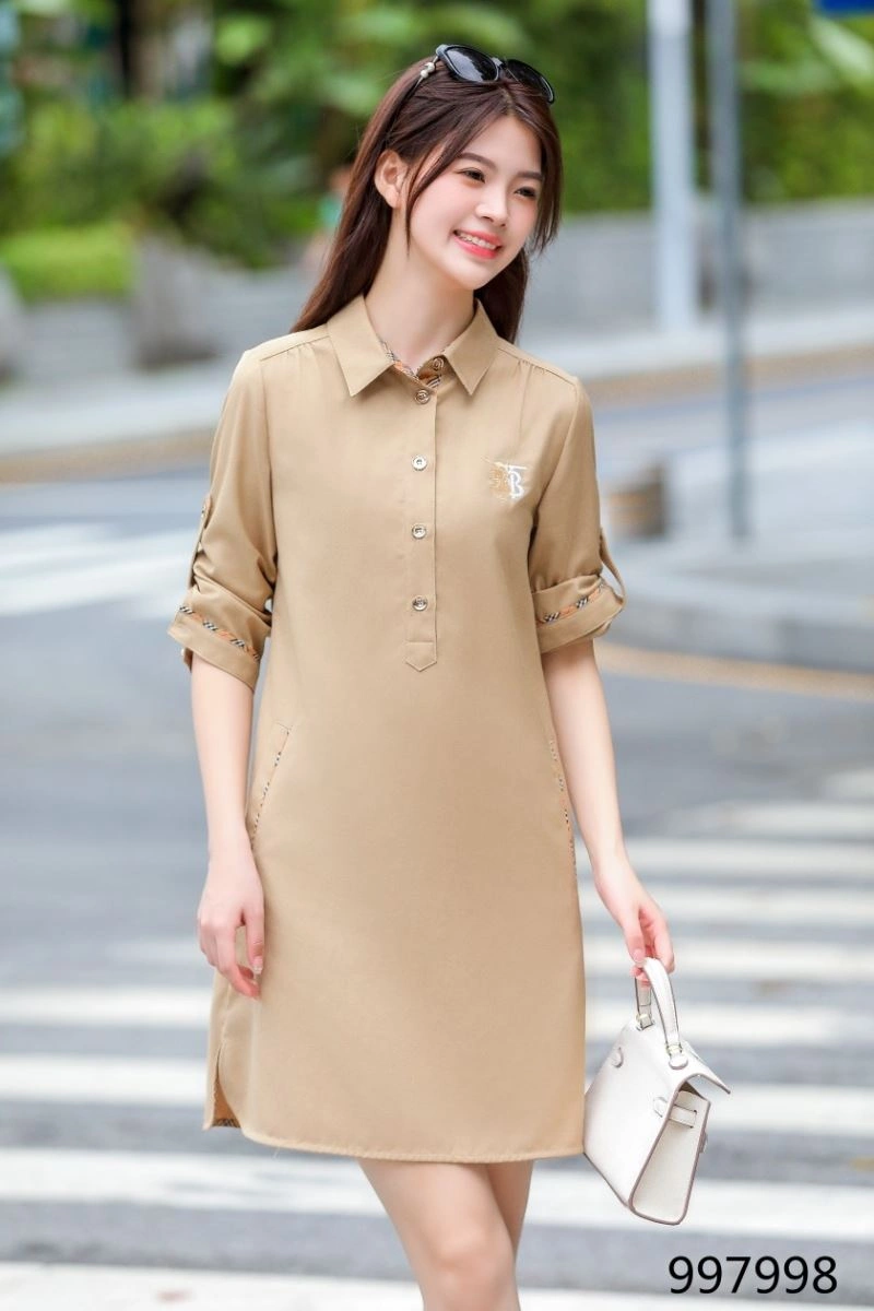 Accurate model Burberry Dress