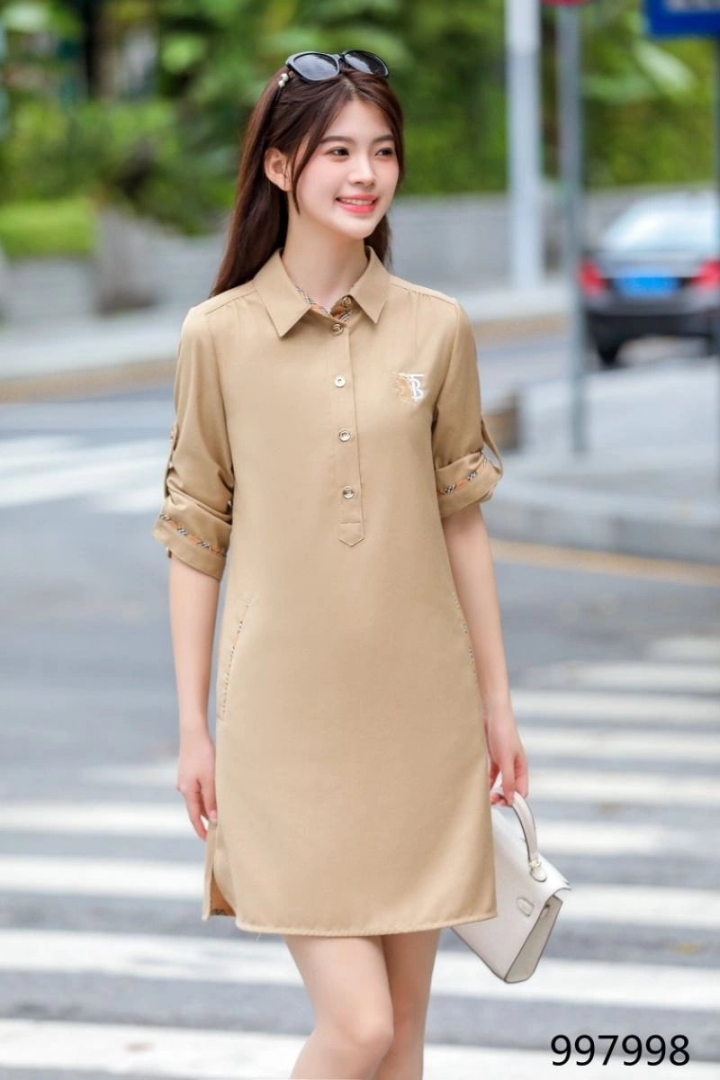 Accurate model Burberry Dress