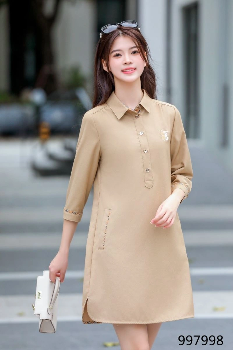 Accurate model Burberry Dress