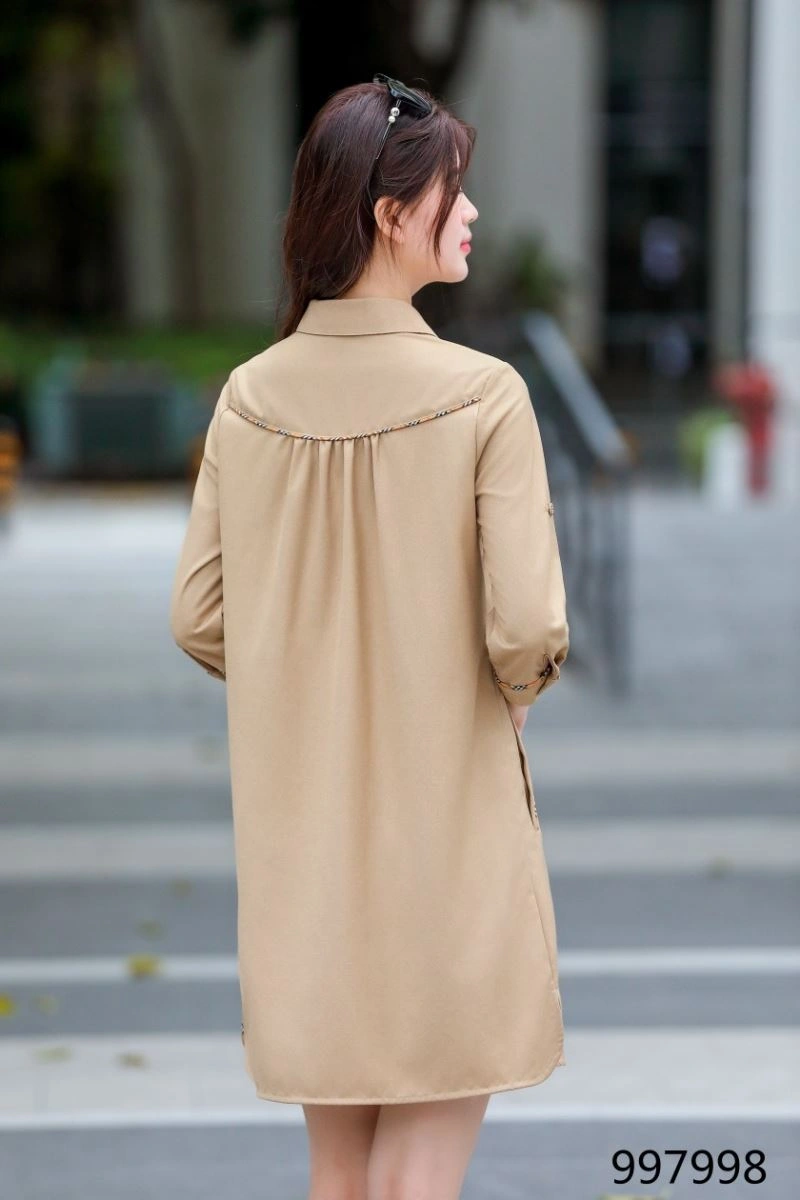 Accurate model Burberry Dress