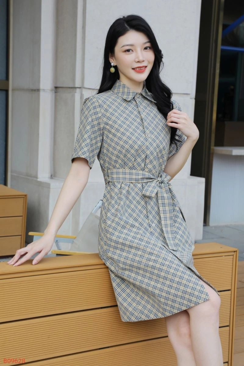 OEM Burberry Dress