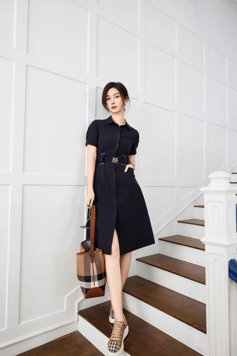 Budget-friendly Burberry Dress