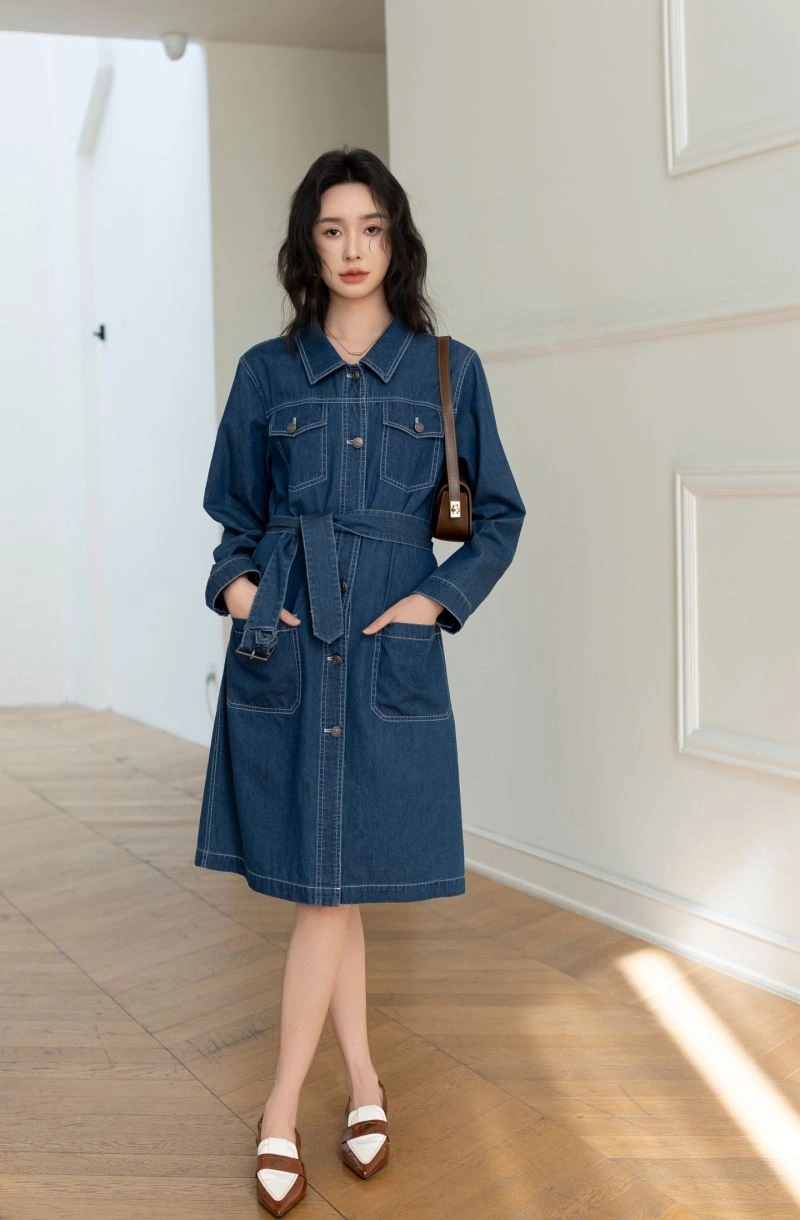 Burberry Dress