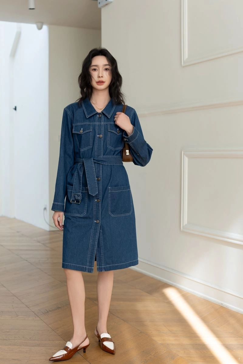 Accurate model Burberry Dress