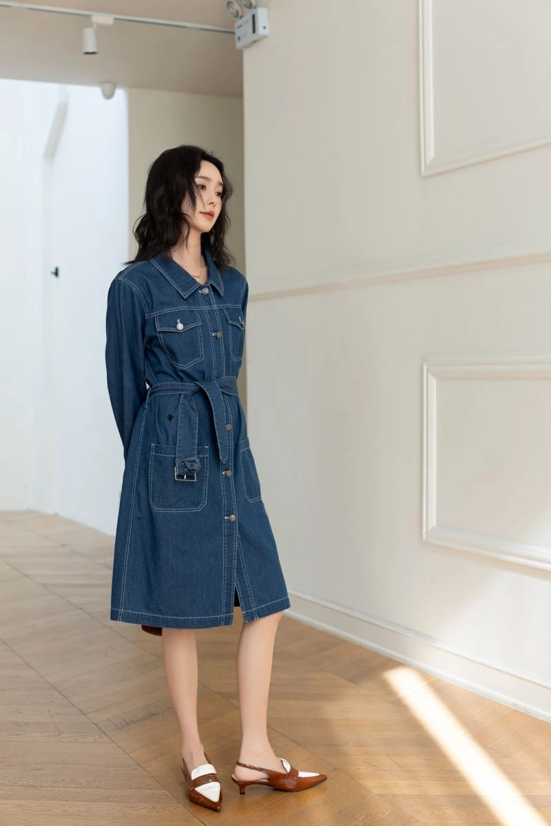 Accurate model Burberry Dress