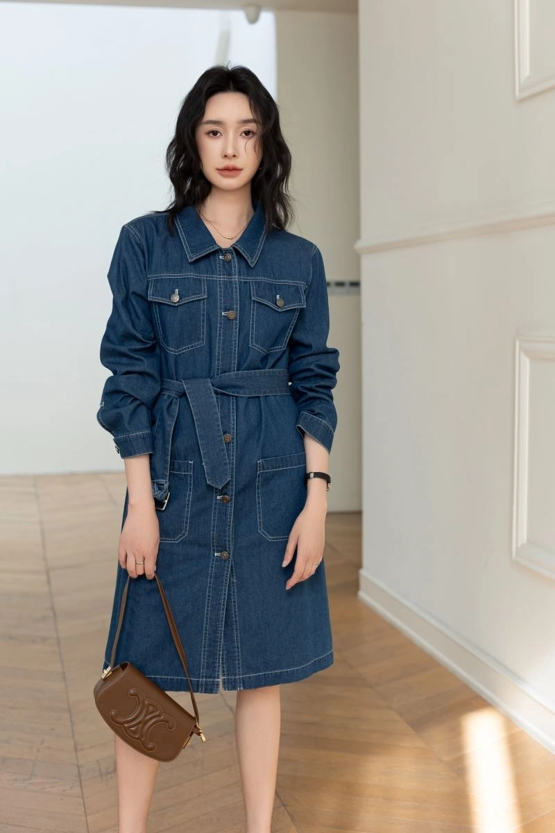Accurate model Burberry Dress