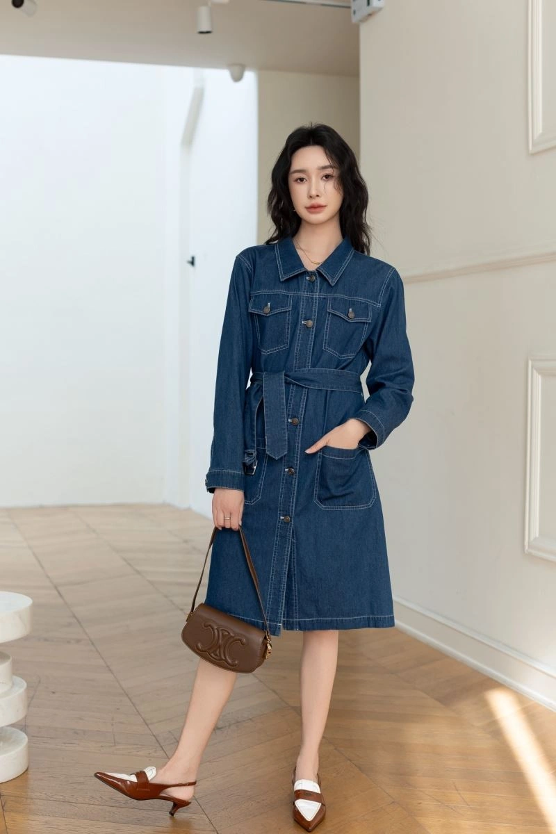 Accurate model Burberry Dress