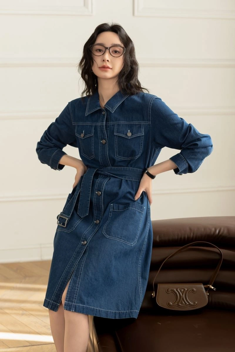 Accurate model Burberry Dress
