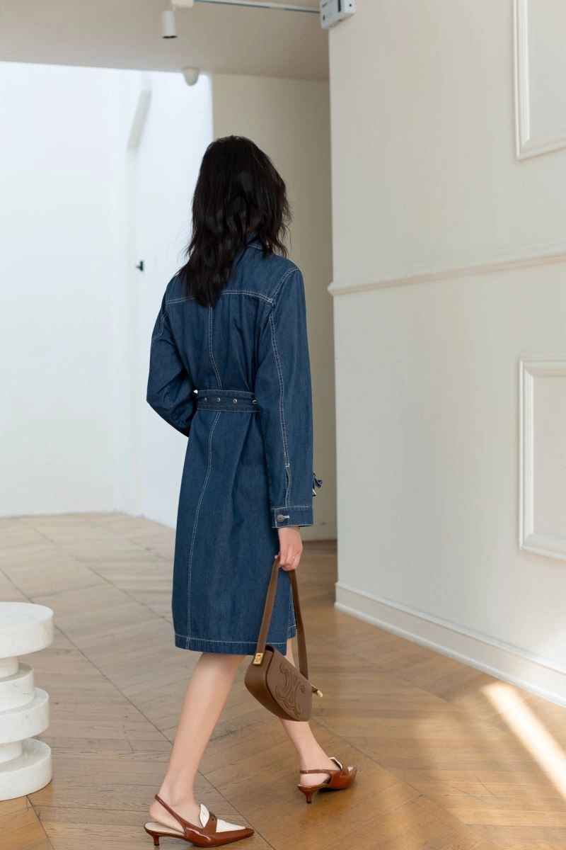 Accurate model Burberry Dress