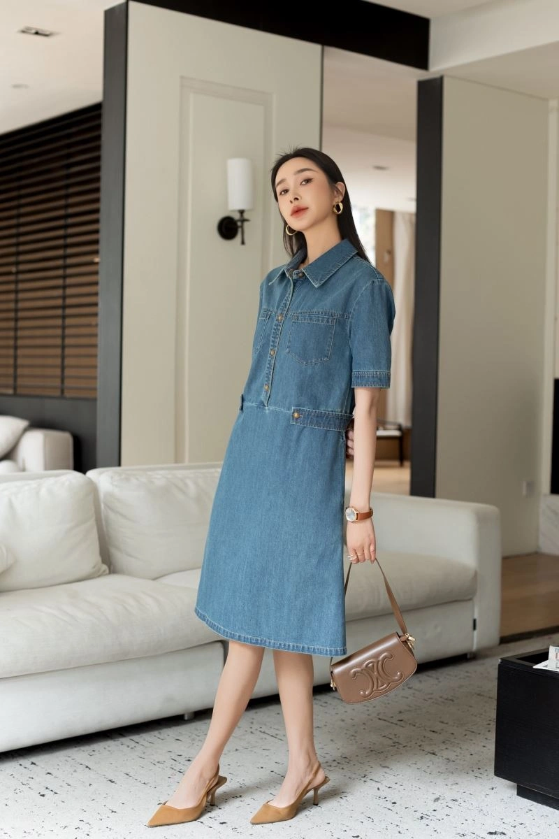 Indistinguishable Burberry Dress