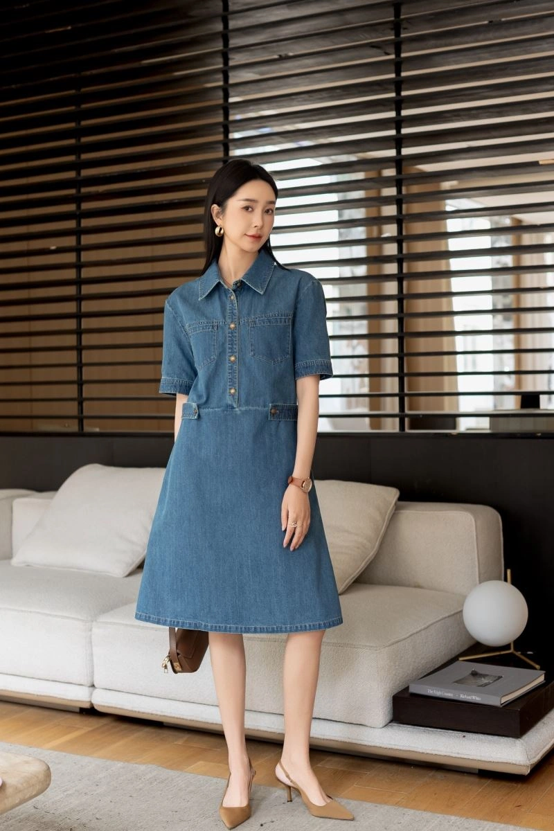 Indistinguishable Burberry Dress