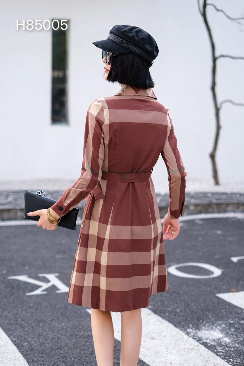Accurate model Burberry Dress