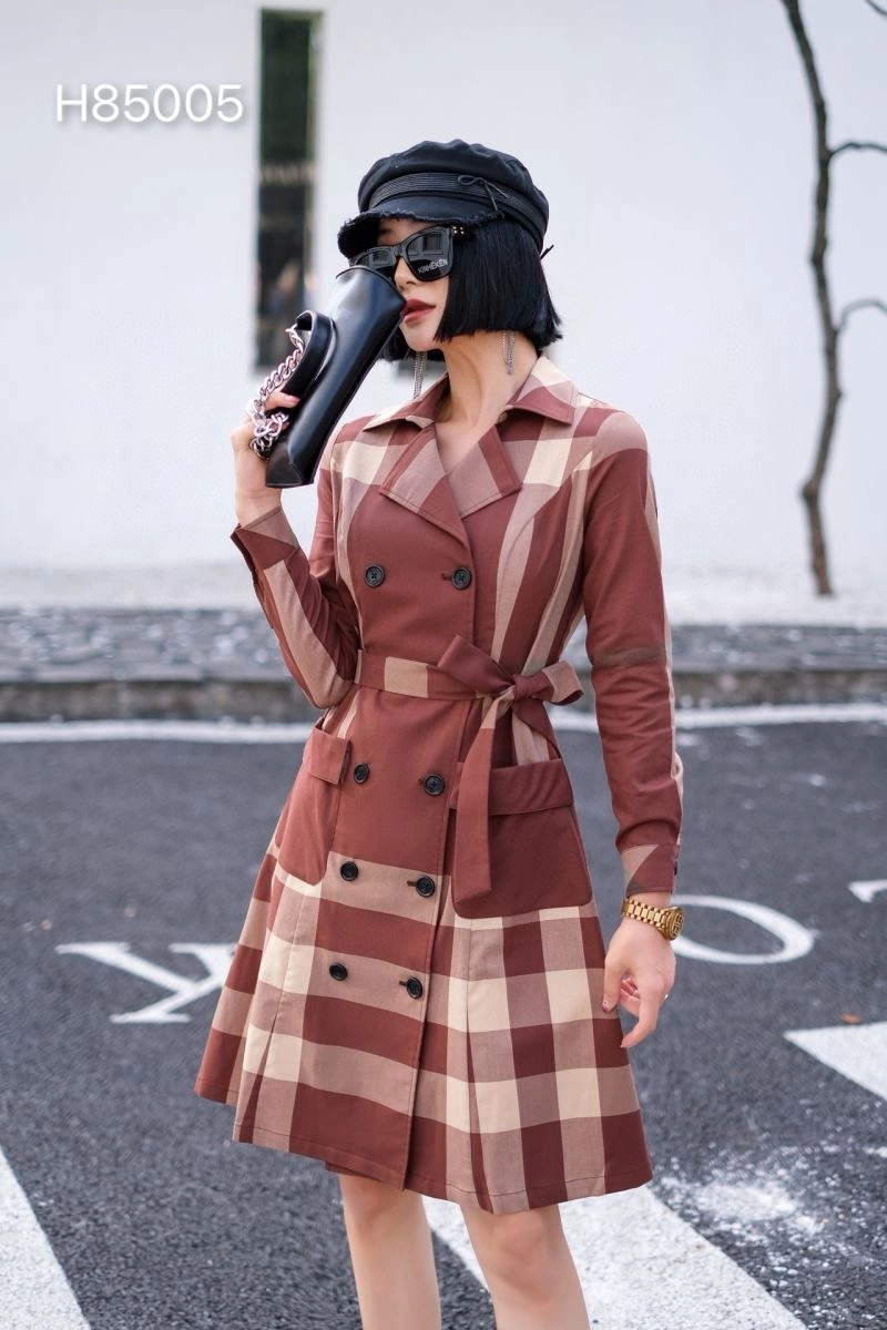 Accurate model Burberry Dress