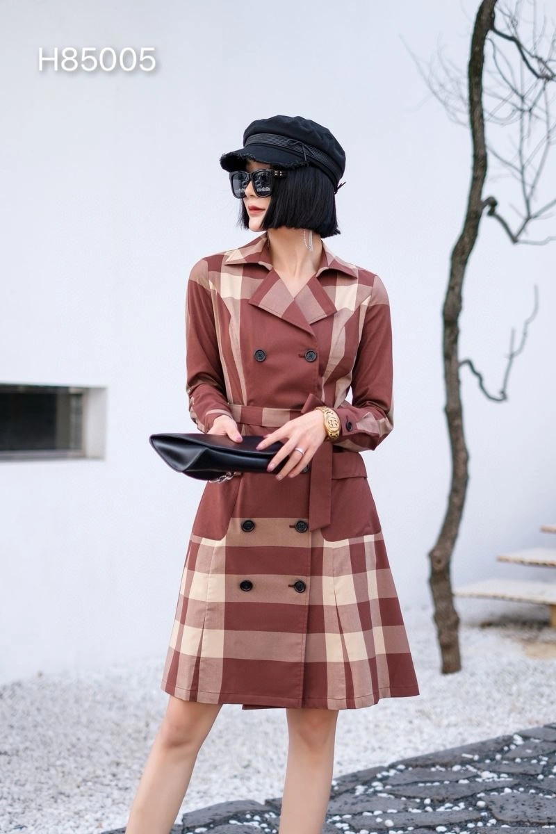 Accurate model Burberry Dress